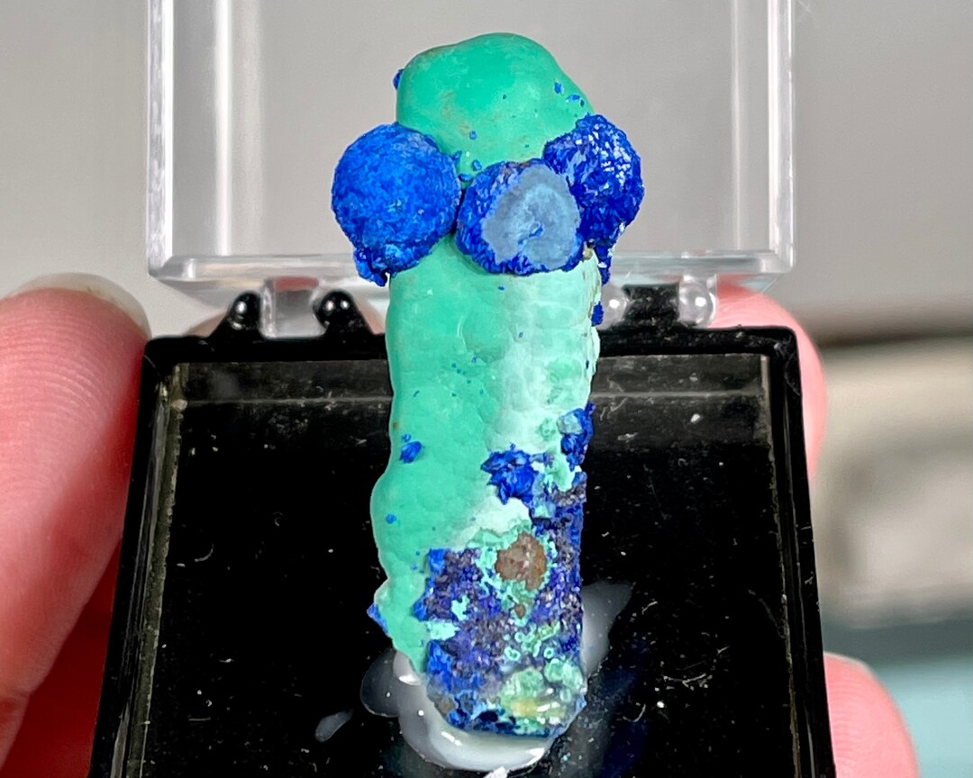 ARIZONA Malachite Stalactite With AZURITE BLUEBERRIES! - Morenci - Ex ...