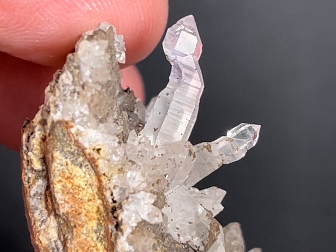 STRAWBERRY Amethyst Reverse Scepter Flower• Gobobosebberge Mtns ...