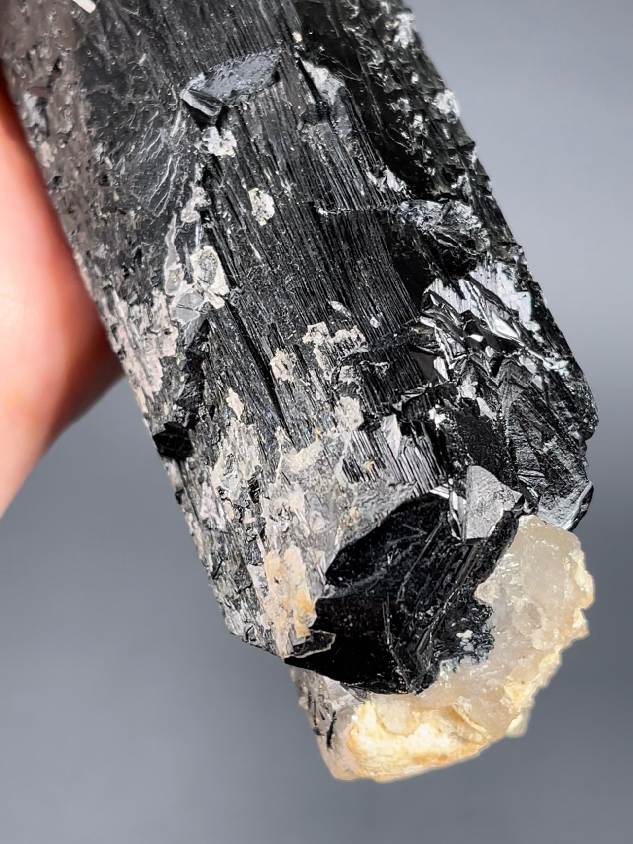 HUGE 18CM Erongo Tourmaline Var SCHORL With Hyalite Opal & - Etsy