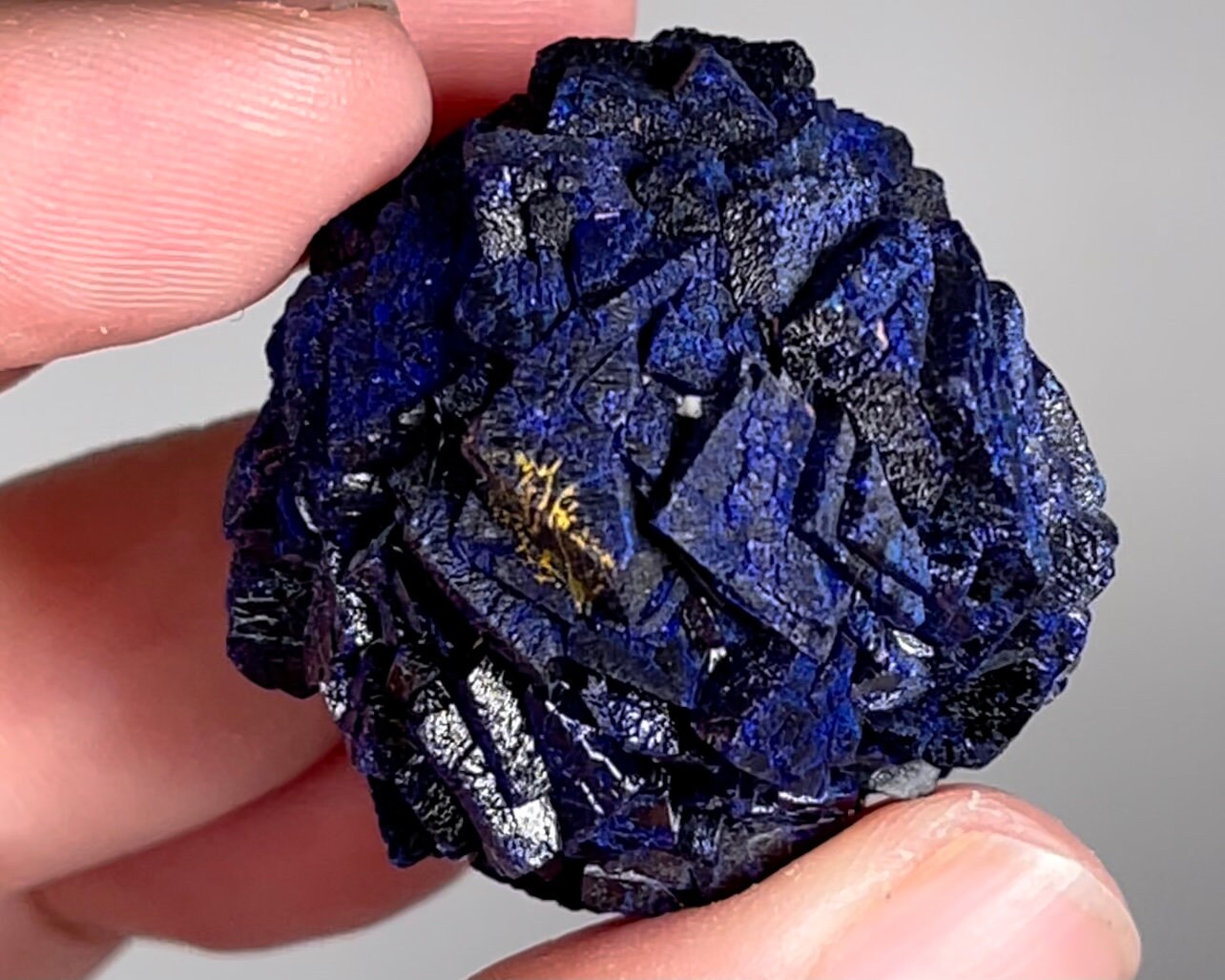 RARE LOCALITY Azurite Rosette Chino Mine, New Mexico Ex University of ...