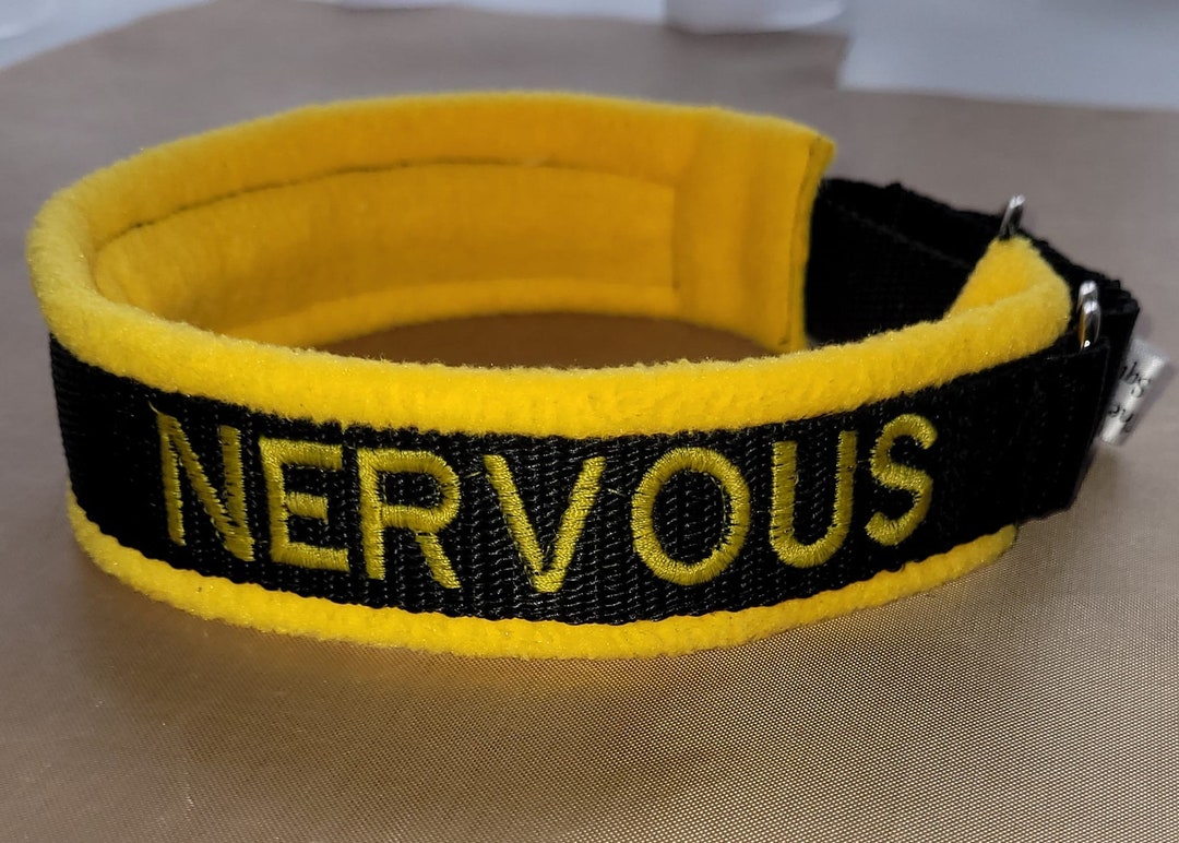 Warning Message Martingale Dog Collar, Nervous Dog Collar, Deaf Dog ...