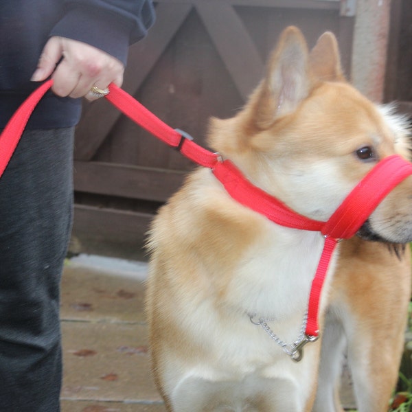 Figure of 8 Dog Lead - Etsy UK