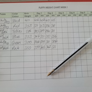 Puppy Weight Charts, Breeder Chart, A4 PDF Litter Record, Edit in Word ...