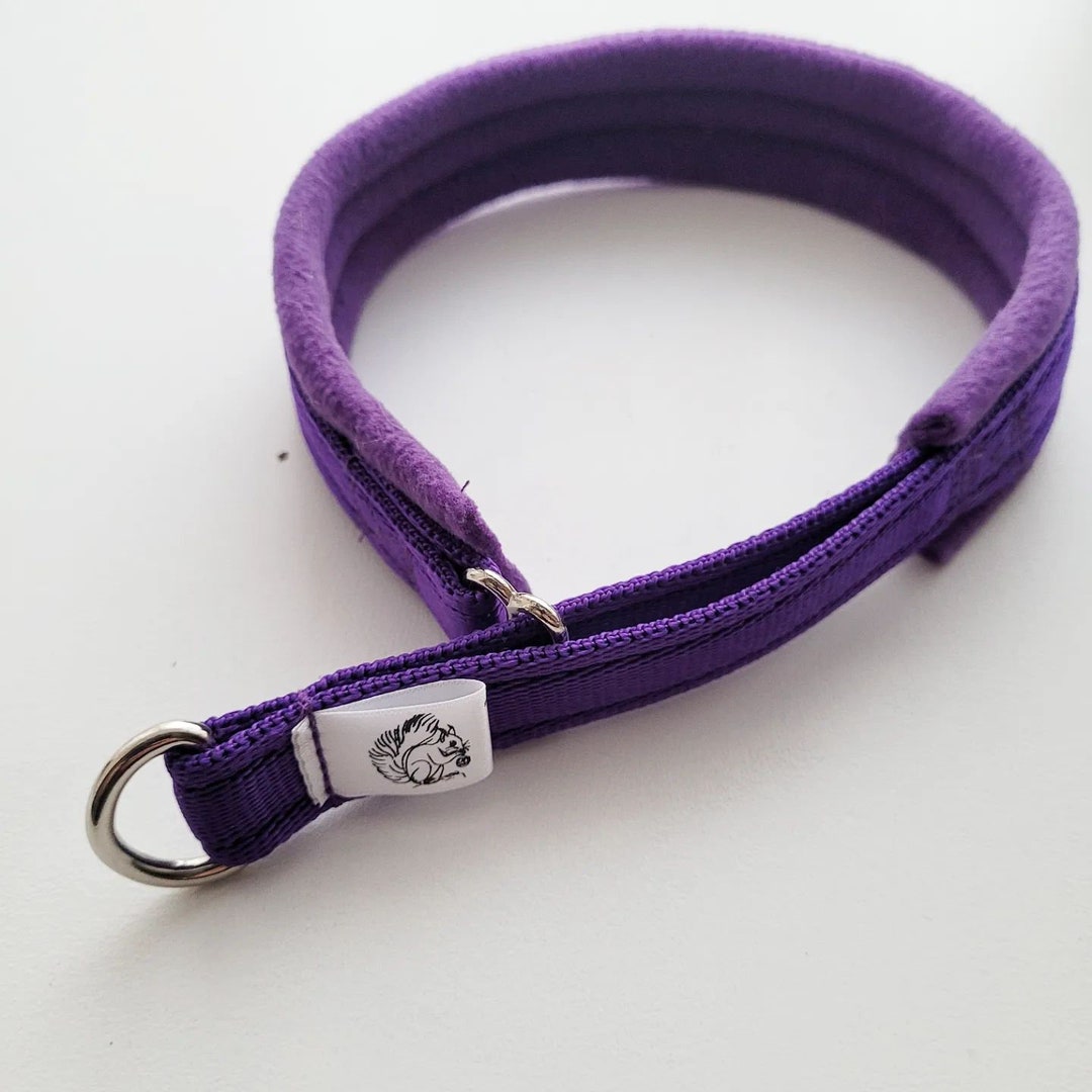 Fleece Lined Slip Collar, Ideal Agility Collar, Hound Collar, Training ...