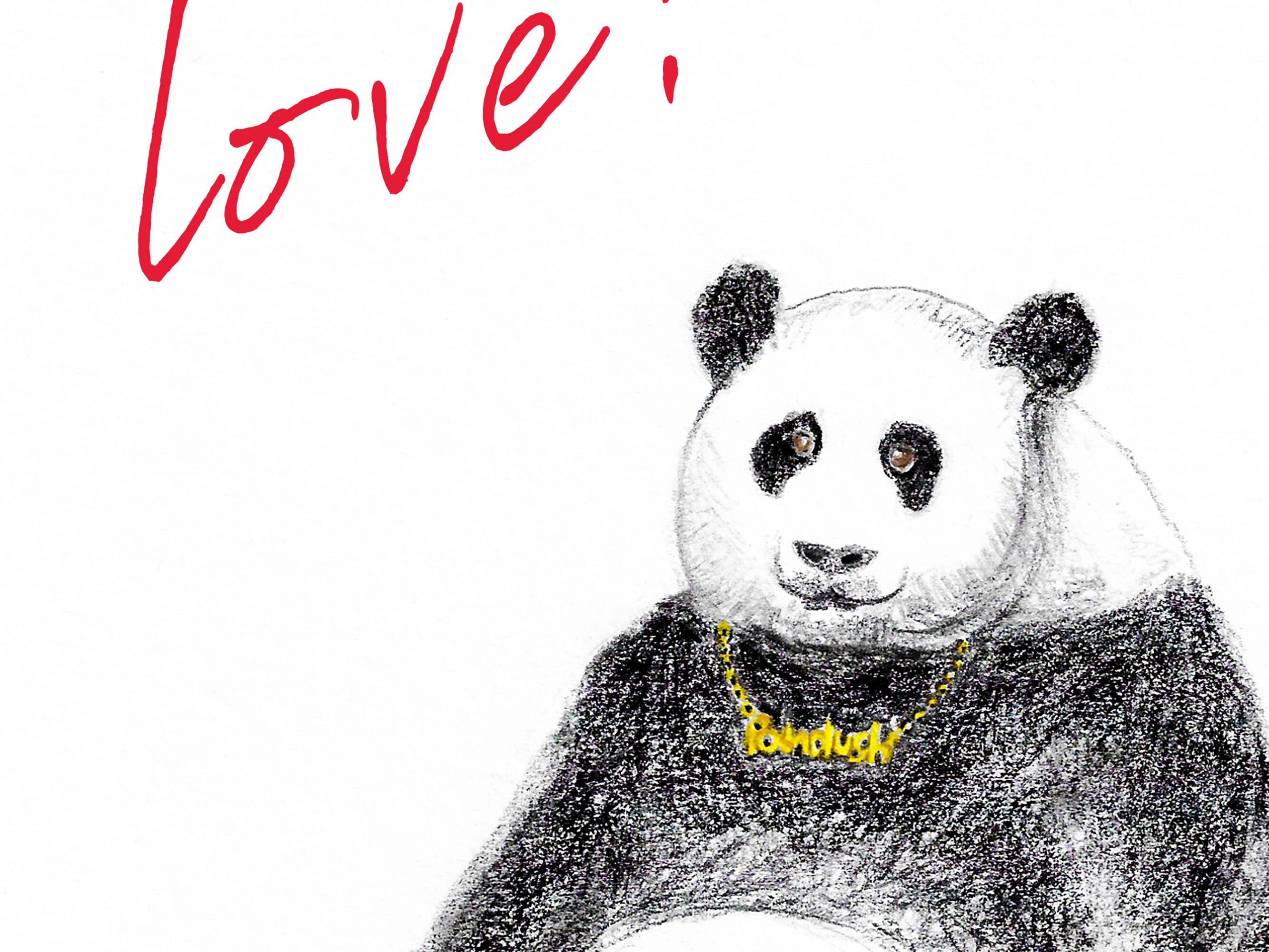 Panda Bear Drawings For Kids