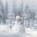 Snowman Digital Background With Snow Overlay | Photoshop Background ...