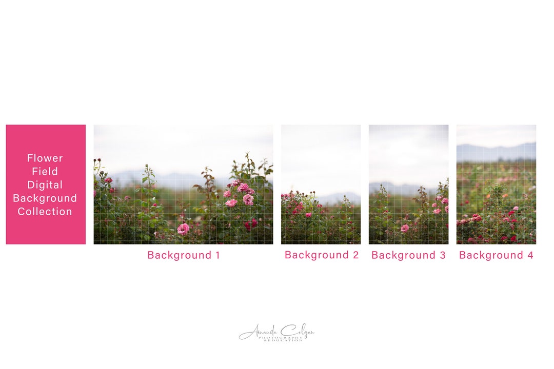 Flower Field Digital Background Pack | Flower Digital Background ...