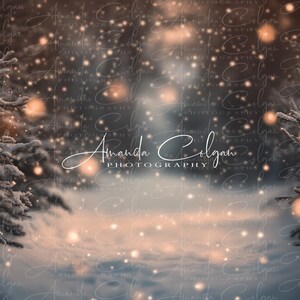 Christmas Digital Background | Snow Path Digital Backdrop | Snowy ...
