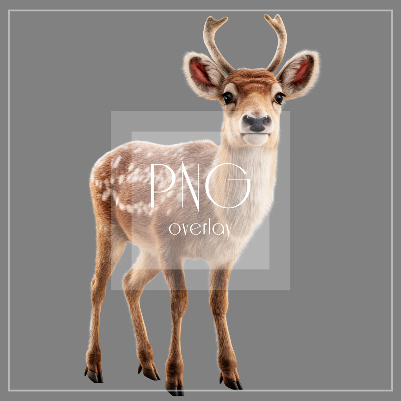Baby Reindeer Overlay | Brown Reindeer | Overlay for Photoshop ...