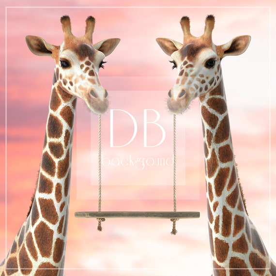 Giraffe Swing Digital Background Photoshop Background | Etsy