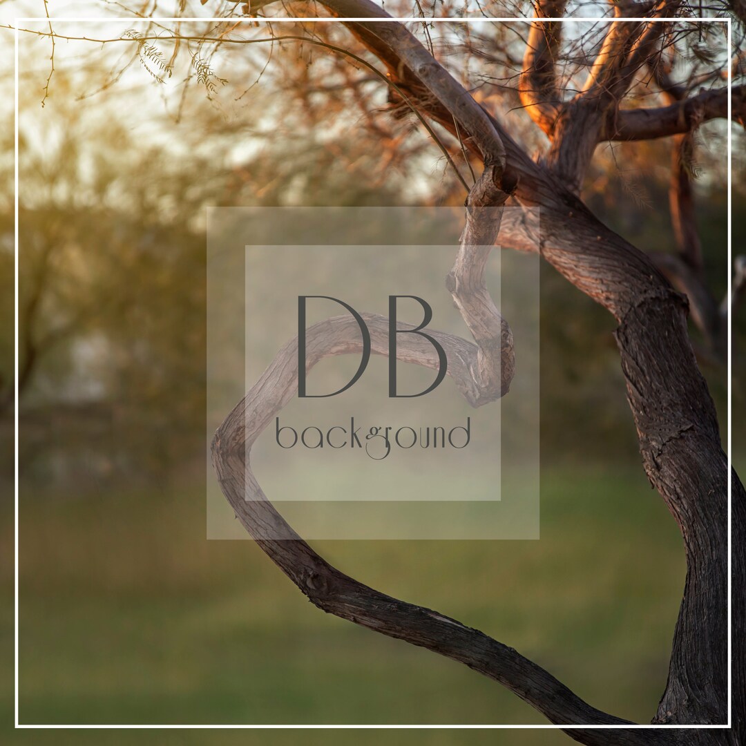 Heart Tree Digital Background | Tree Digital Background | Composite ...