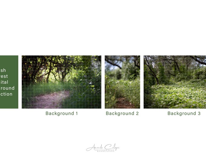 12 Enchanted Tropical Forest Digital Background for Photoshop ...