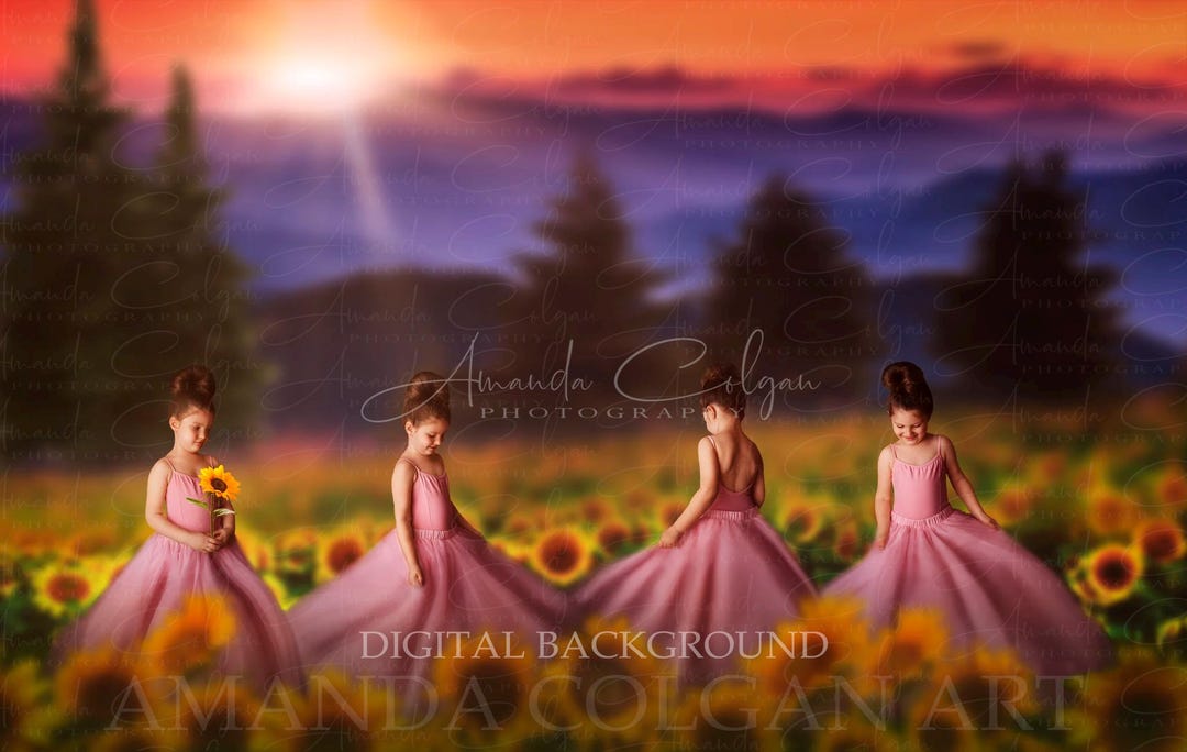 Autumn Digital Backdrop | Sunflower Field Digital Background | Summer ...