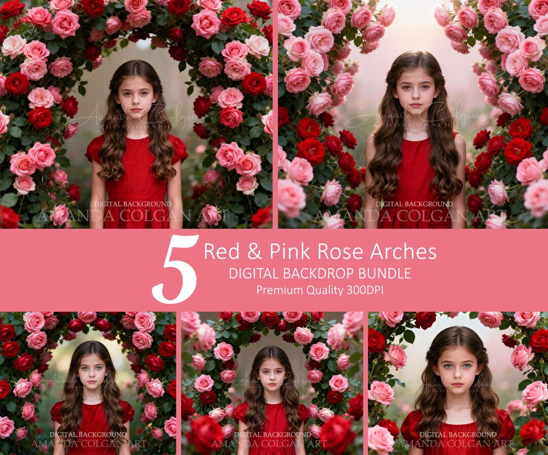 Pink & Red Rose Arches Digital Backdrop Bundle | Valentine's Day ...