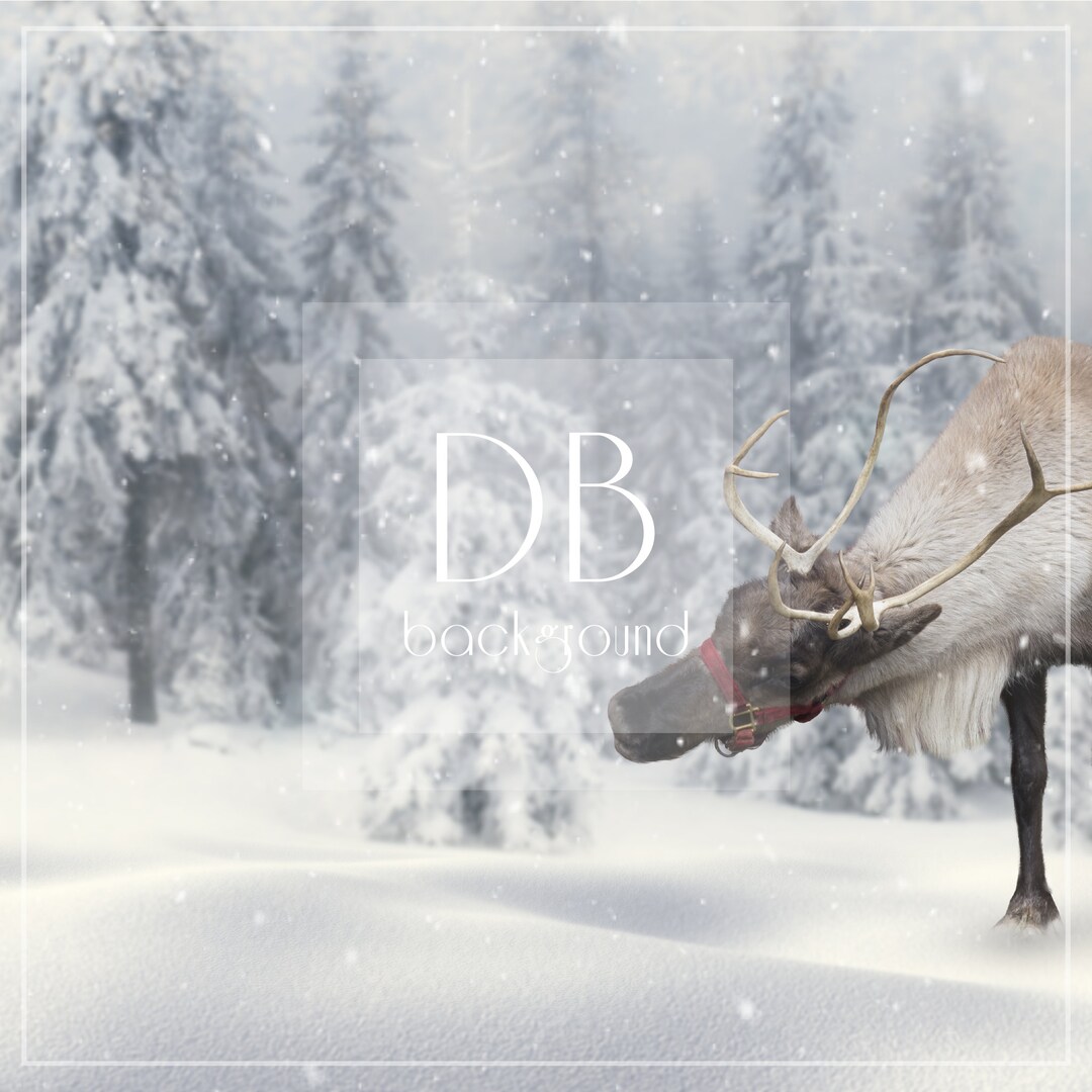 Reindeer Digital Background With Snow Overlay | Curious Reindeer ...