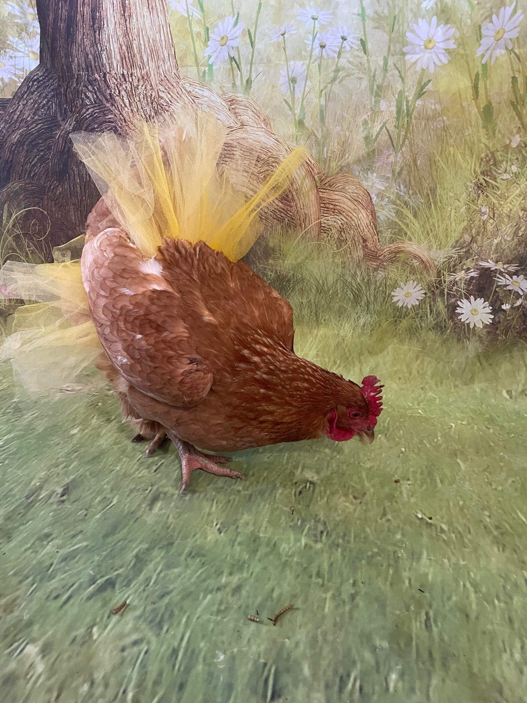 Chicken Tutu/pet Tutu-yellows - Etsy