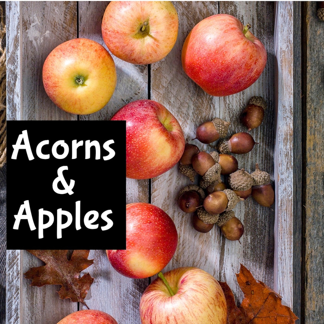 ACORNS & APPLES Handmade EDP Perfume Cologne Room Linen Spray Fragrance ...