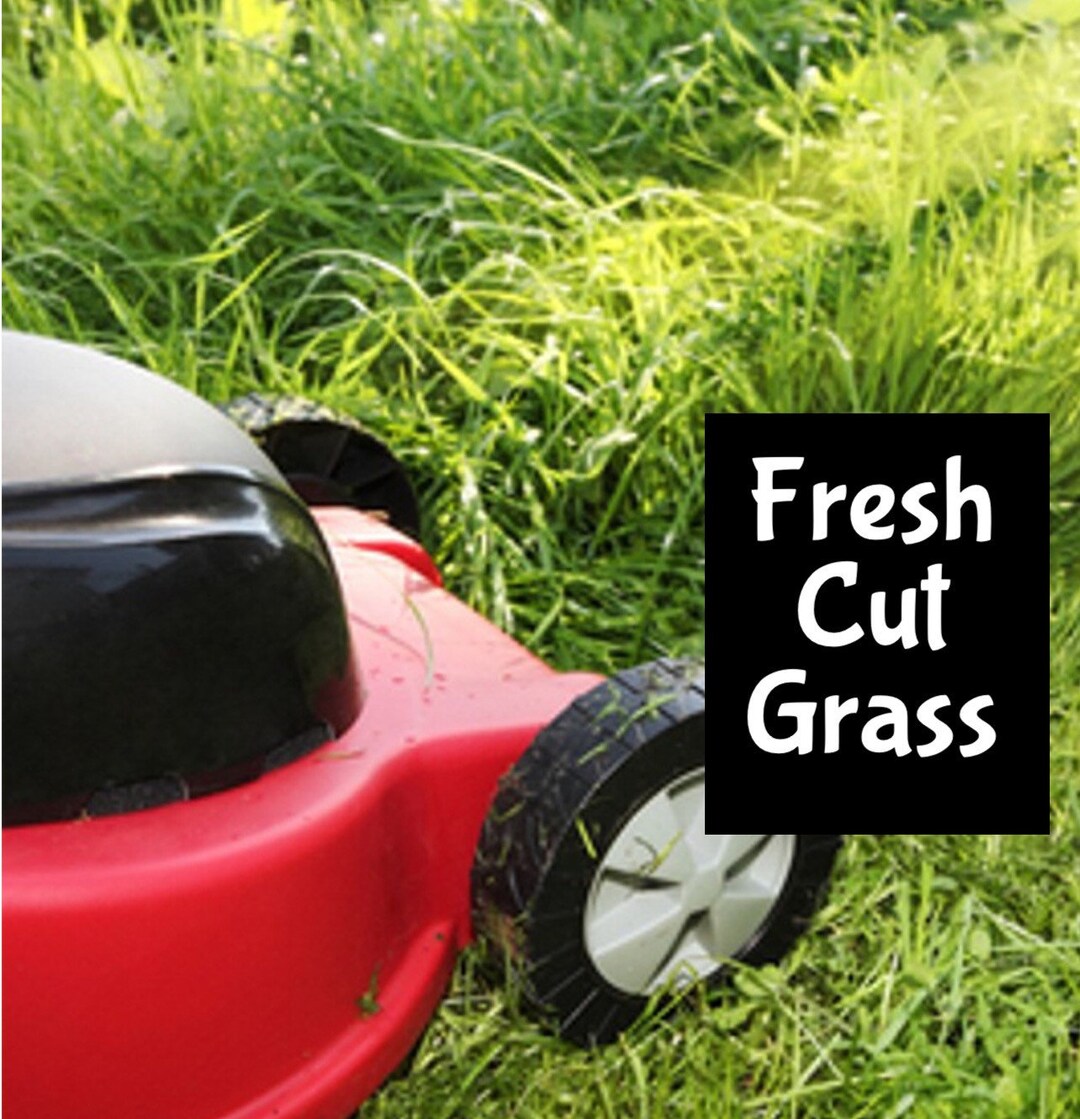 FRESH CUT GRASS Perfume Cologne Edp Linen Room Spray Fragrance Massage ...