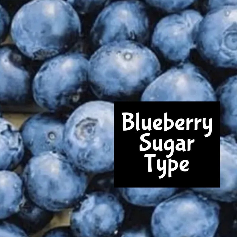 Blueberry Perfume - Etsy