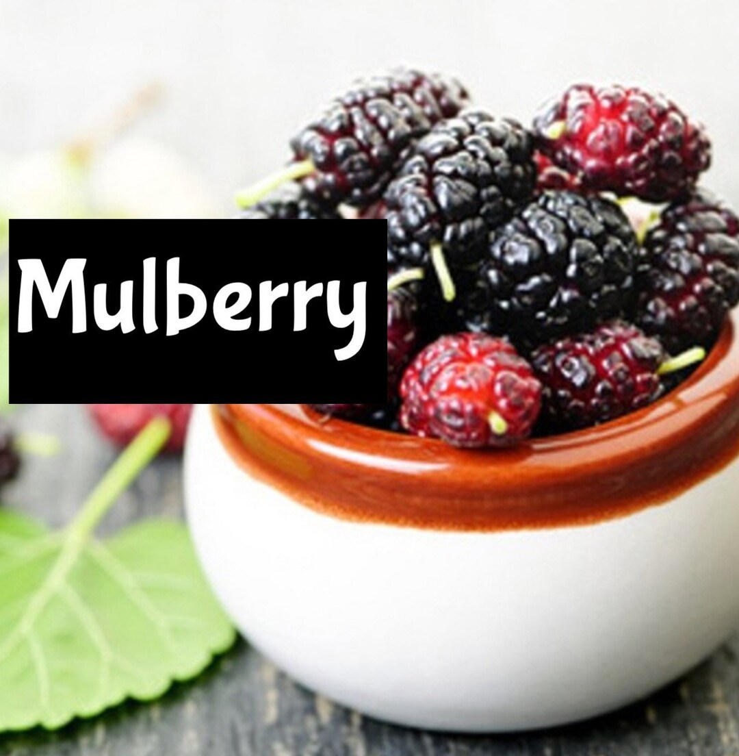 MULBERRY Handmade Perfume Cologne EDP Room Lenin Hand Spray ...