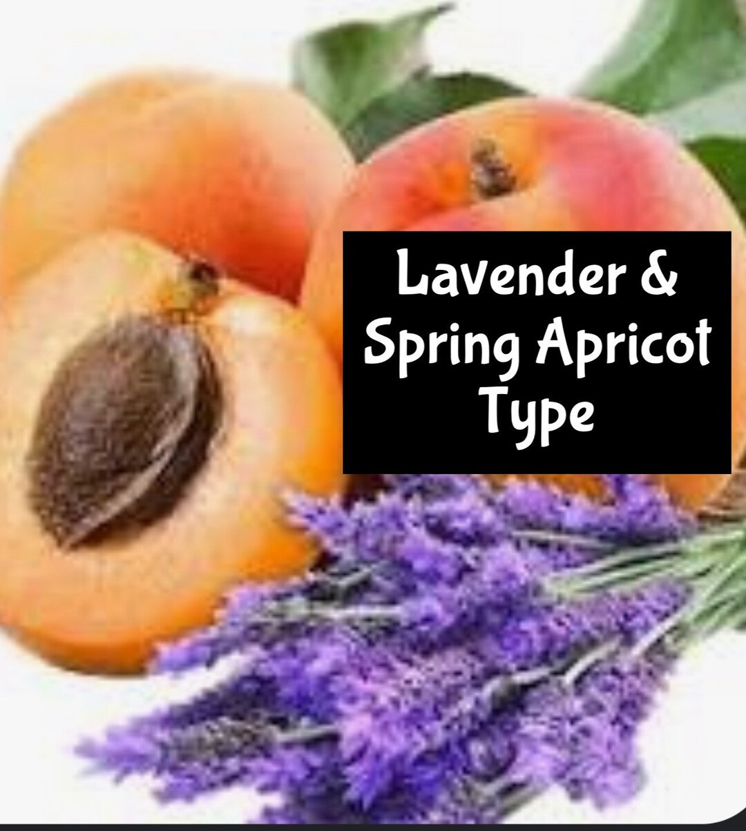 APRICOT & LAVENDER Dupe Moisturize Shimmer Body Splash Perfume Cologne ...