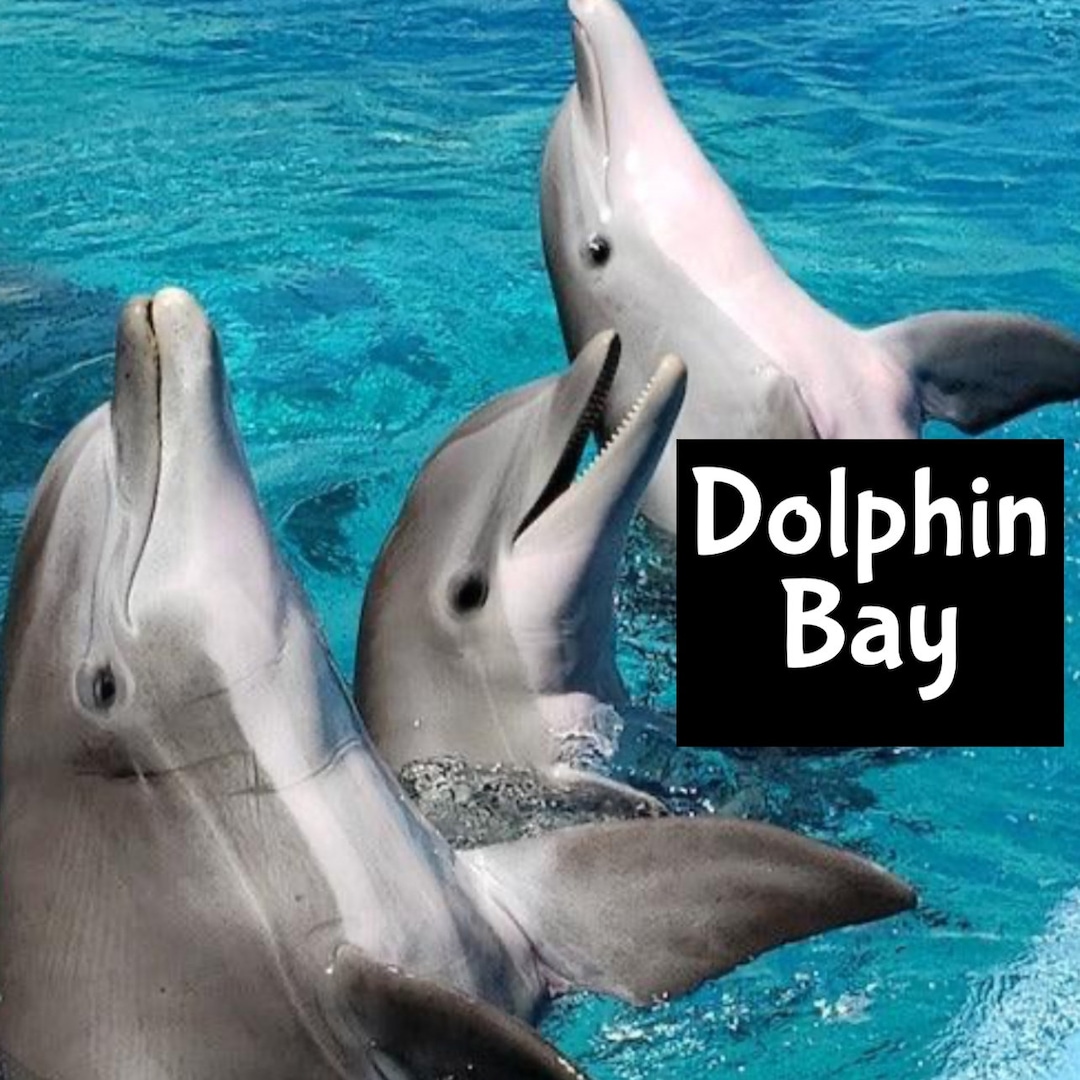 DOLPHIN BAY Dupe Perfume Cologne Edp Room Linen Spray Fragrance Massage ...