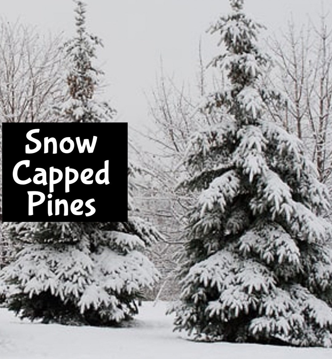 SNOW CAPPED PINES Roll on Beard Bath Massage Beauty Oil Perfume Cologne ...