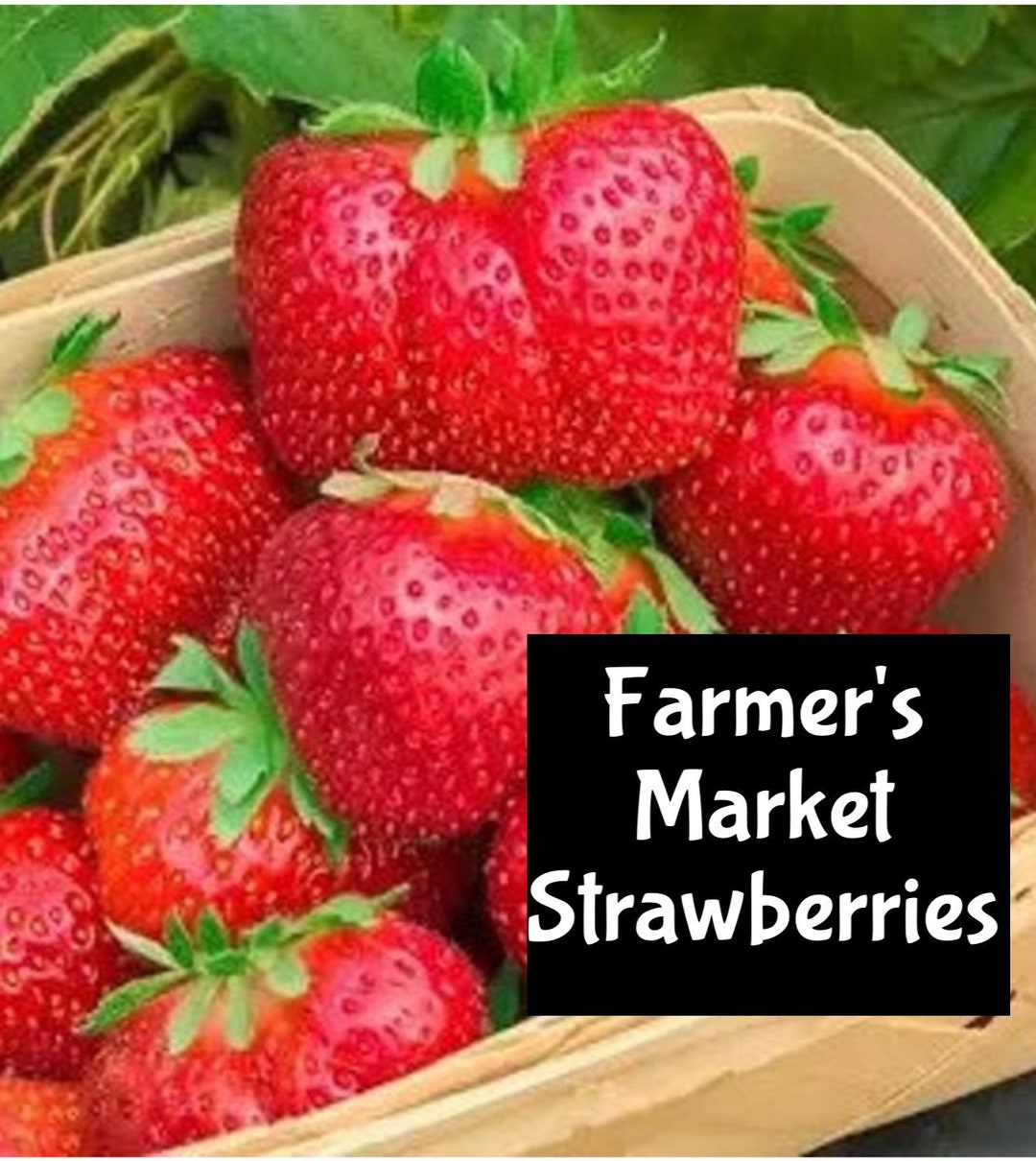 FARMER'S MARKET STRAWBERRIES Handmade Edp Perfume Cologne Linen Spray ...