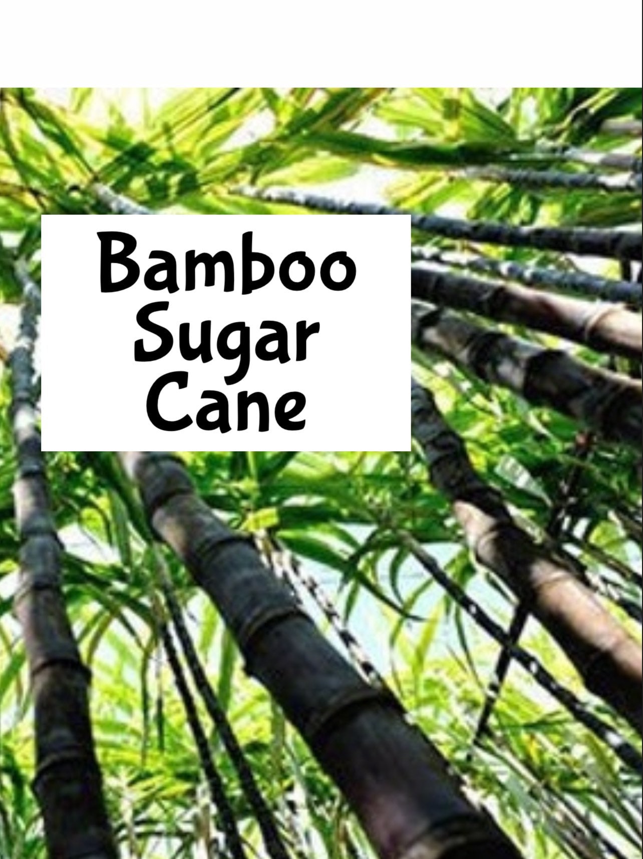 BAMBOO SUGAR CANE Handmade Edp Perfume Cologne Room Linen - Etsy