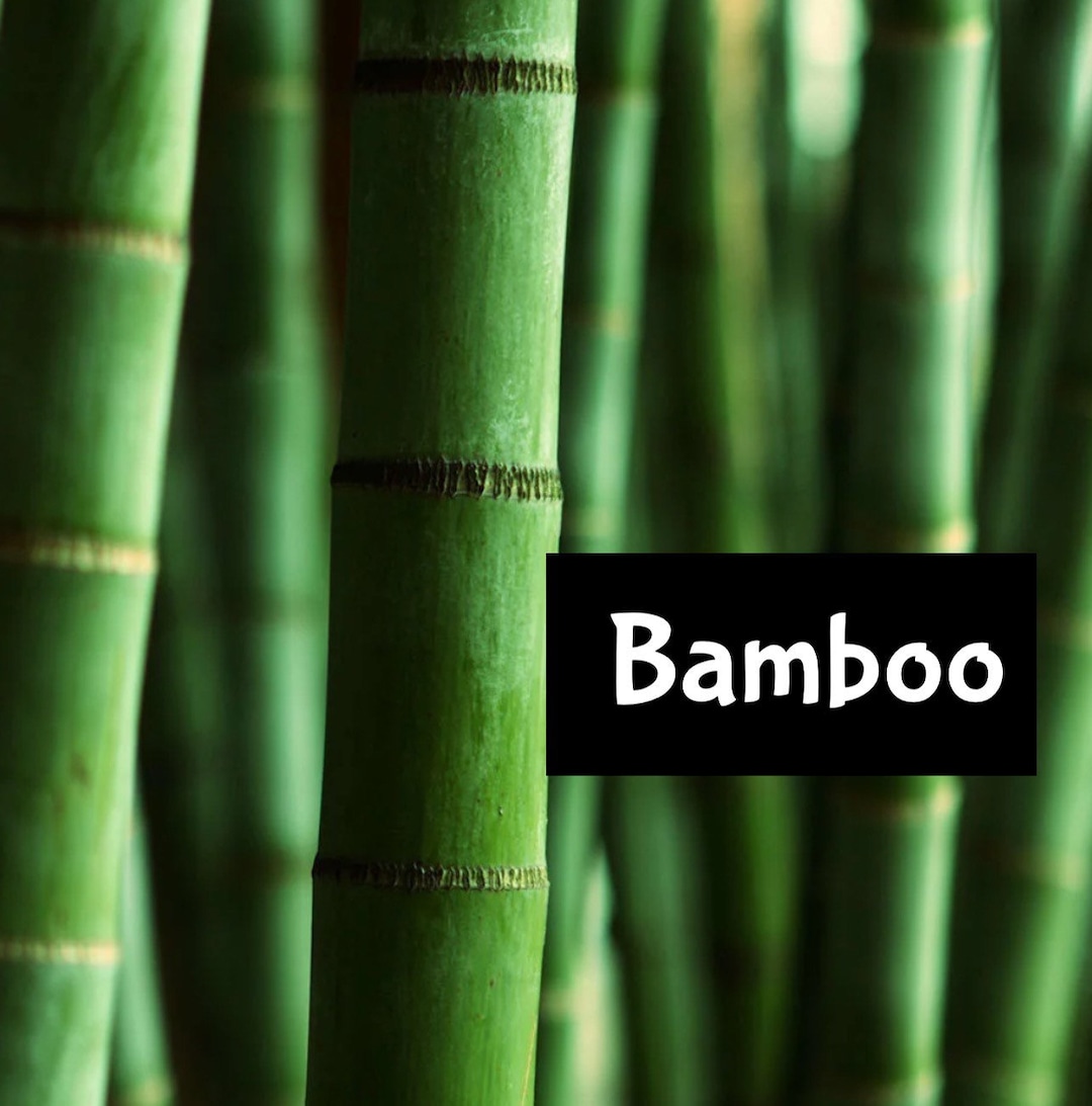 BAMBOO Moisturizing Shimmer Body Splash Perfume Cologne Beard Massage ...