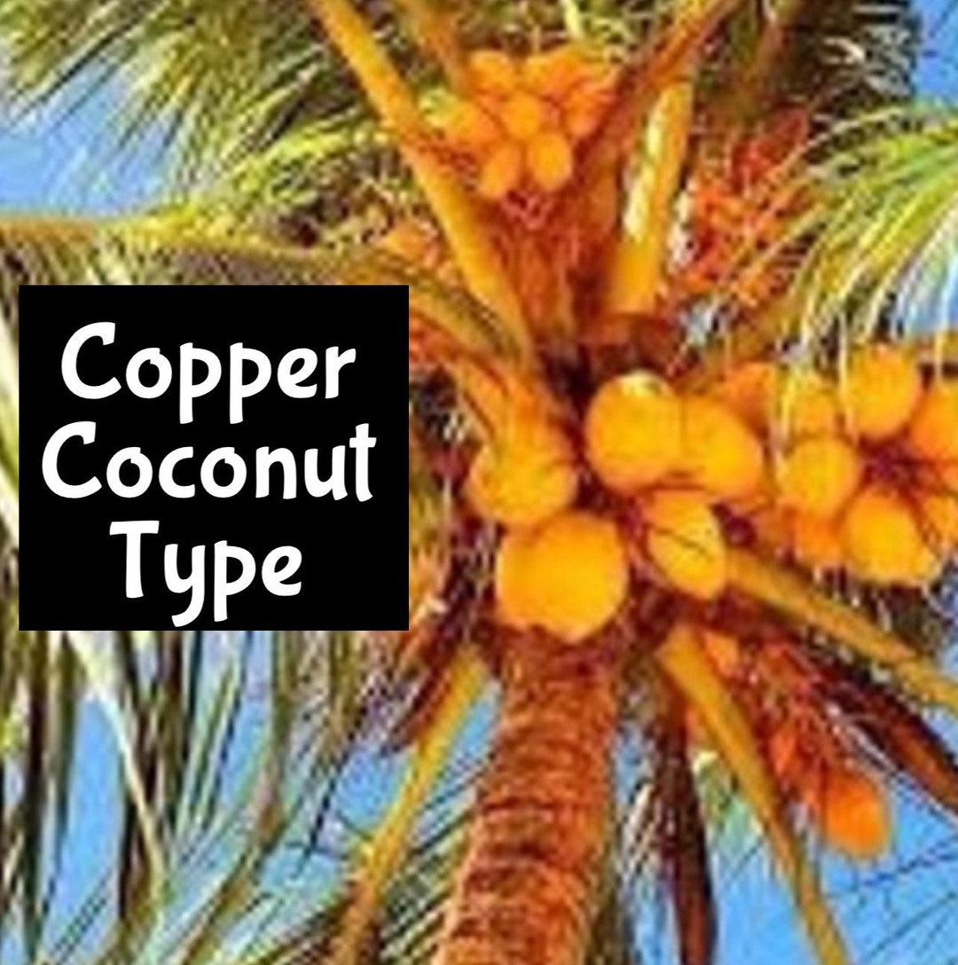 COPPERY COCONUT (dupe) Handmade Perfume Cologne Linen Spray Fragrance ...