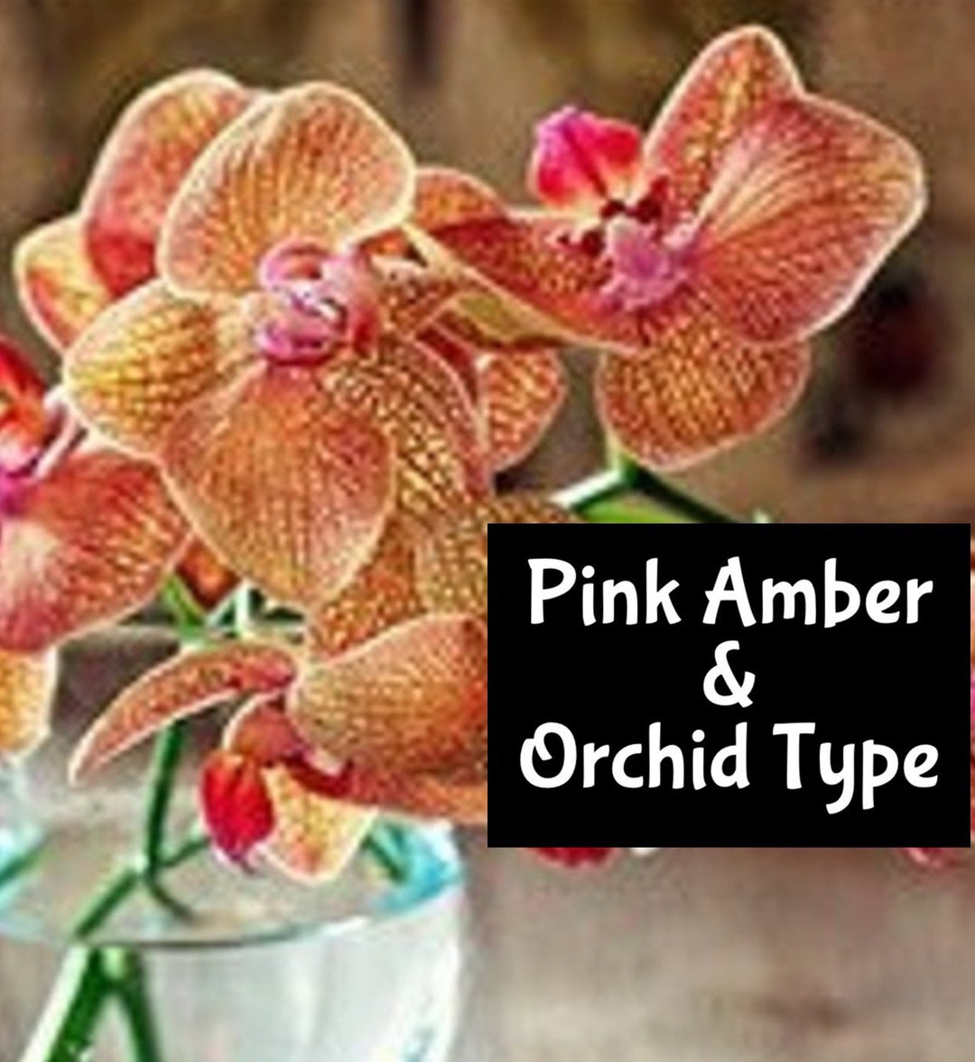 AMBERED PINK FLOWERS Dupe Handmade Edp Perfume Cologne Room Linen Spray ...