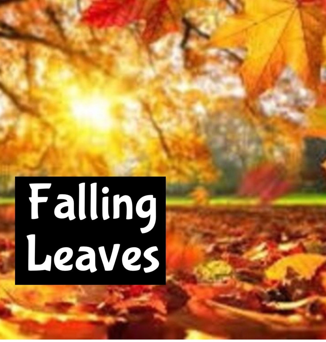 FALLING LEAVES Moisturizing Shimmer Hair Body Splash EDP Perfume ...