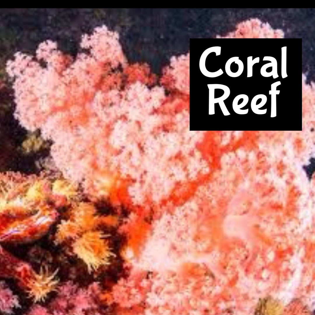 CORAL REEF Handmade EDP Perfume Cologne Room Linen Spray Fragrance ...