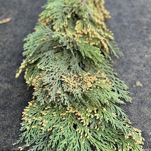 Fresh Christmas Cedar Winter Greens- Fresh Christmas Garland, Nov-jan ...