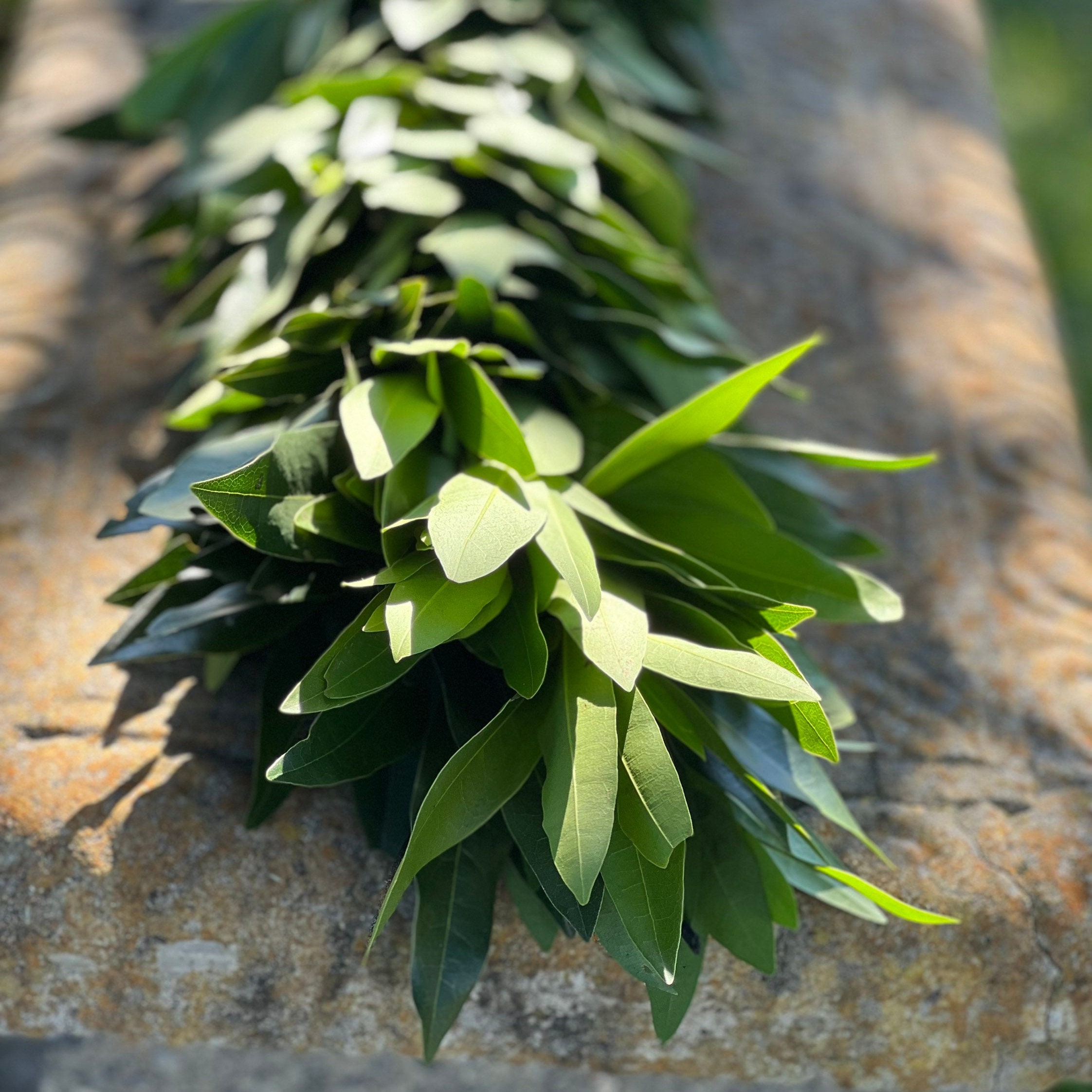 Fresh Handmade Bay Leaf Greenery Wedding Garland - Etsy