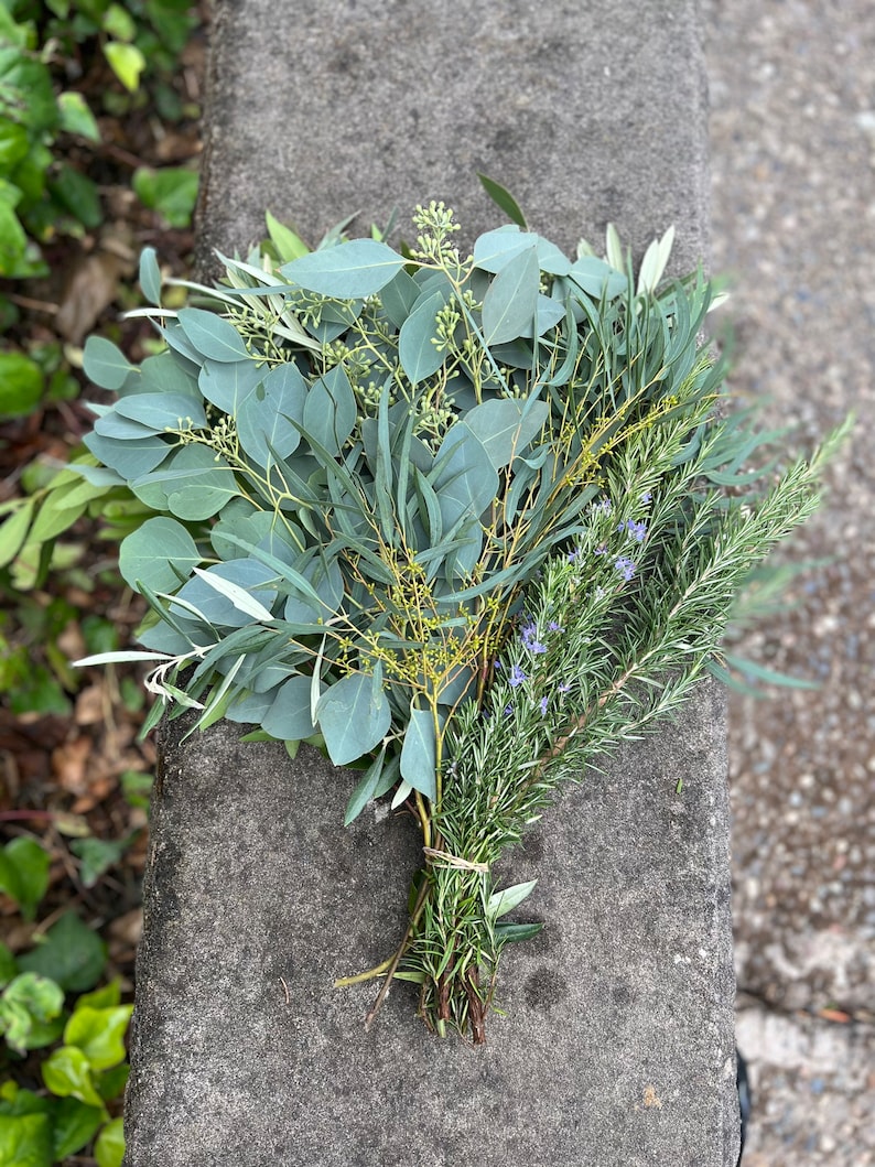 Fresh Assorted Eucalyptus and Greenery Sampler Bunch - Etsy