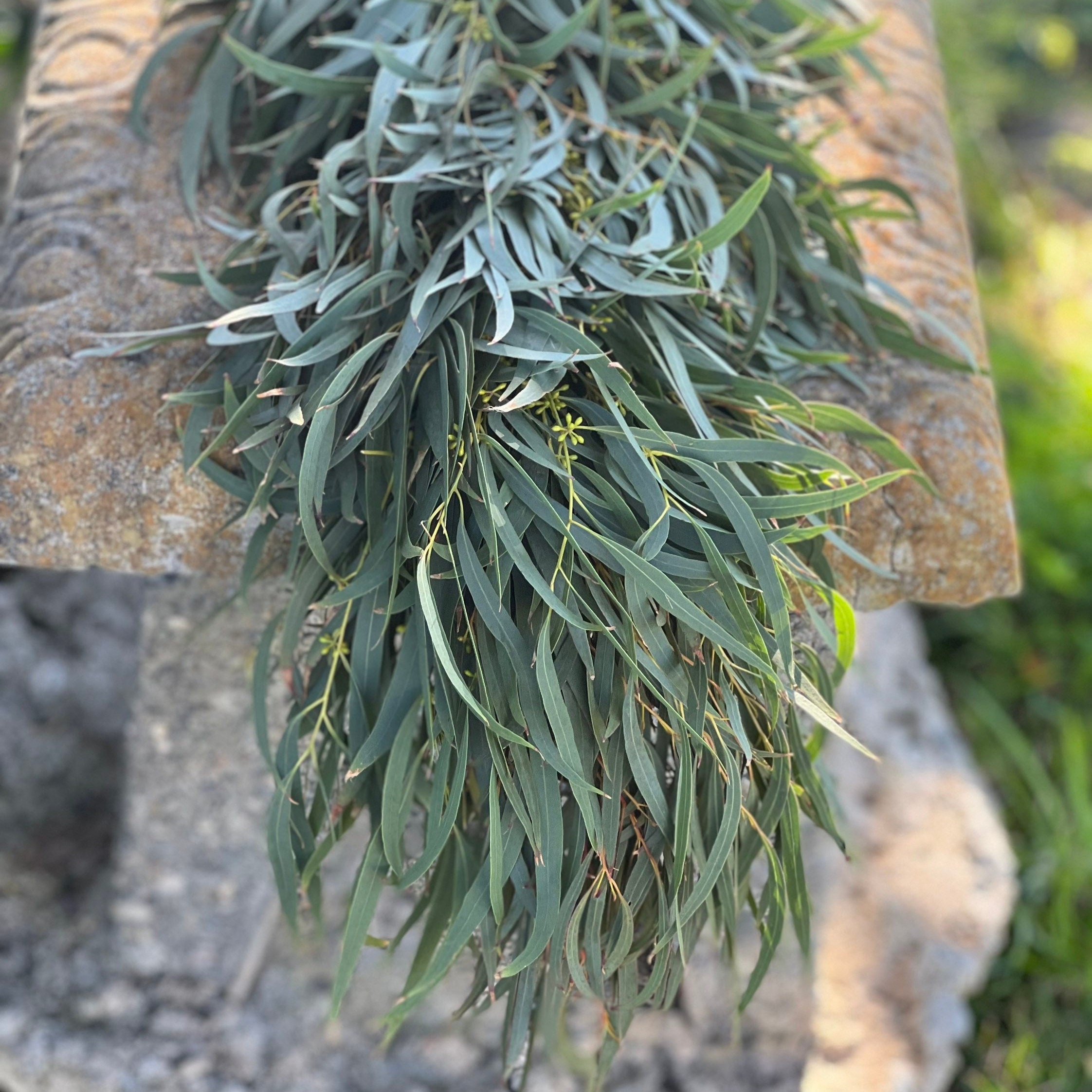 Fresh Handmade Willow Eucalyptus Greenery Wedding Garland - Etsy