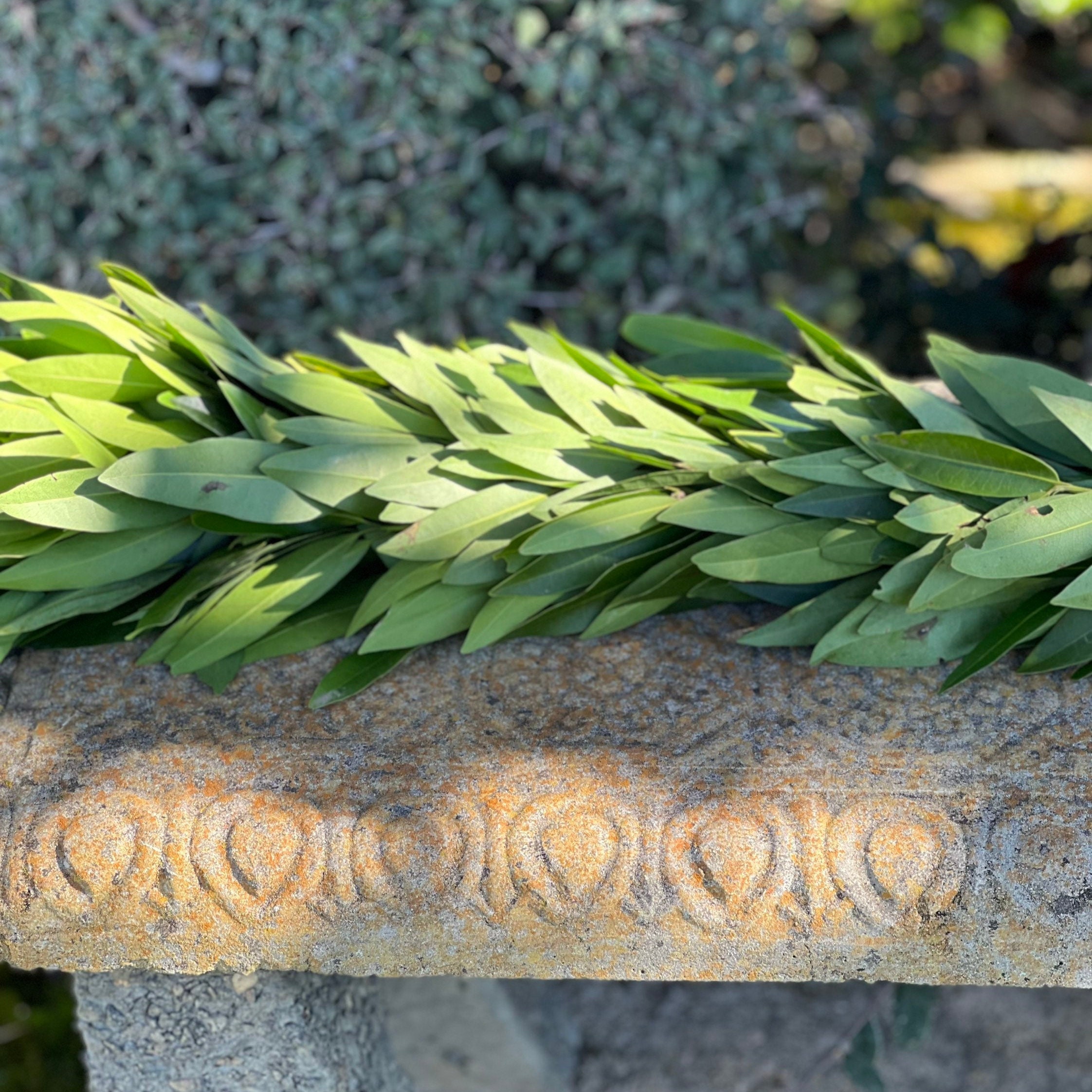 Fresh Handmade Bay Leaf Greenery Wedding Garland - Etsy