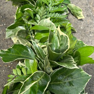 Fresh Leatherleaf Fern, Variegated Bush Ivy and Israeli Ruscus Garland ...