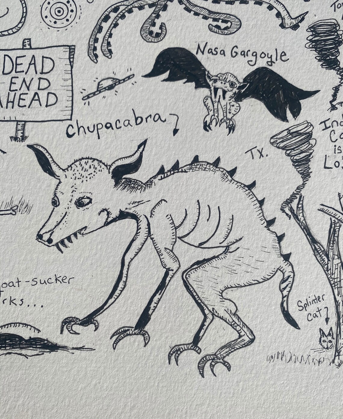 A Ramblers Guide to Cryptids of Western America | Etsy