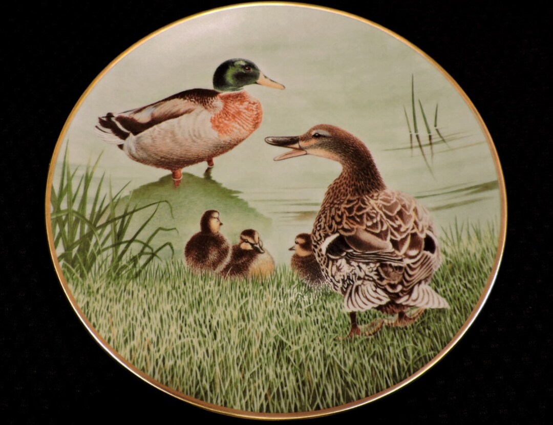 Vintage "mallard" Wall Decor Plate Bavarian Porcelain West Germany ...