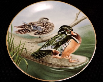 12 Waterbird Plates by Eric Tenney Bavarian Porcelain West Germany ...