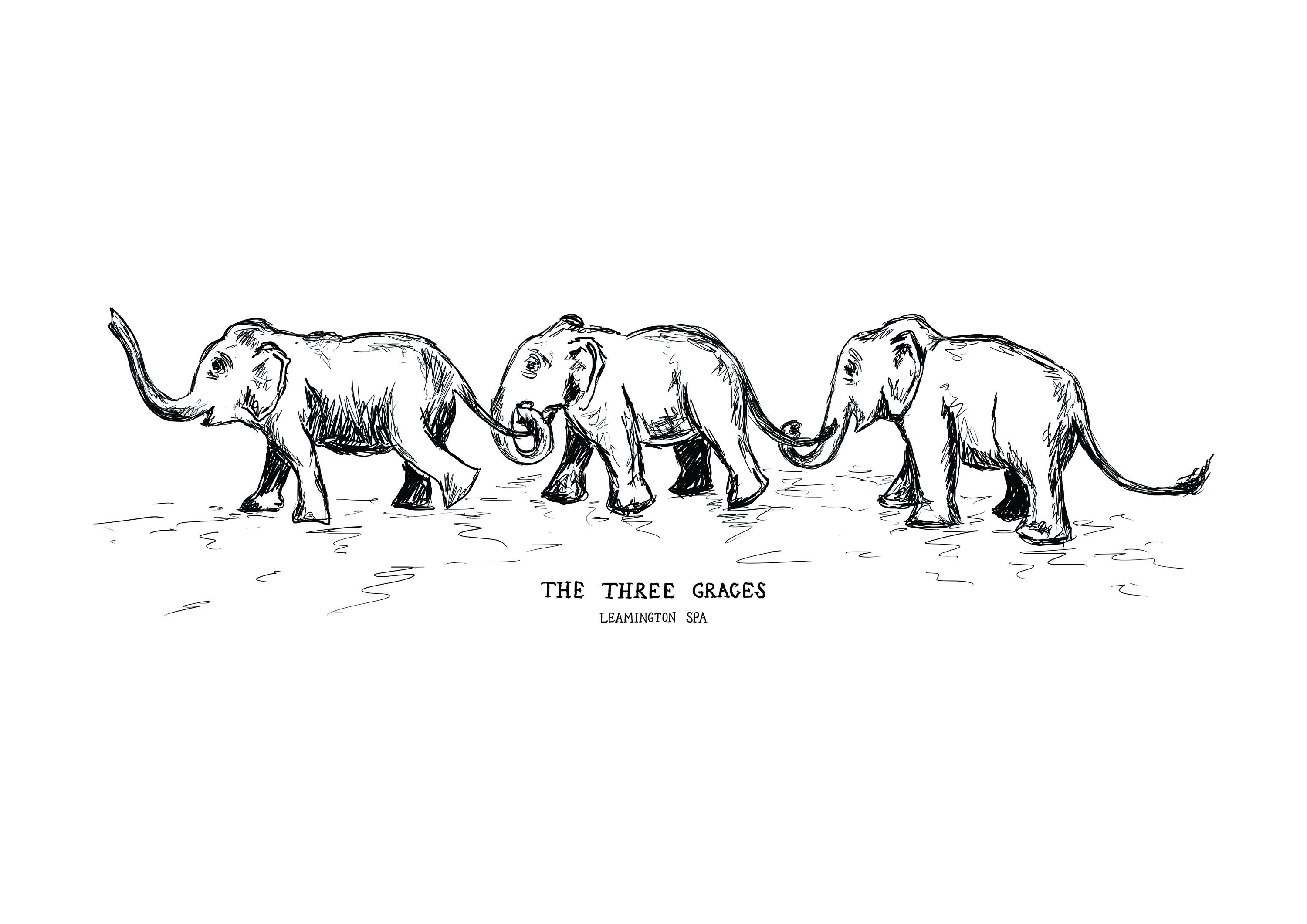 Elephants Holding Tails Drawing