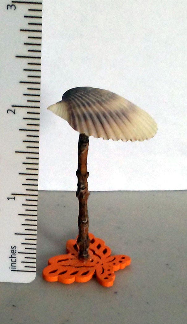 Miniature Fairy Seashell Lamp With a Wood Butterfly Base - Etsy