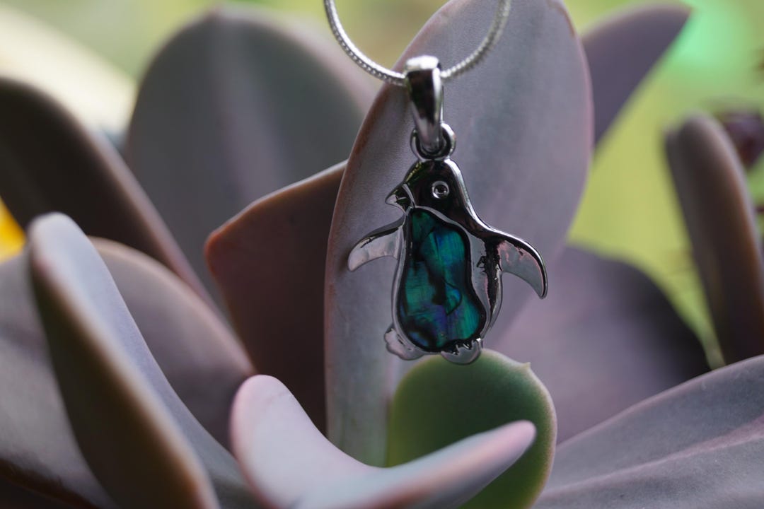 New Zealand Paua Penguin Pendant - Etsy