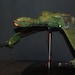 Klingon Bird of Prey Model Lighting Kit: 1/350 Scale LED Upgrade ...