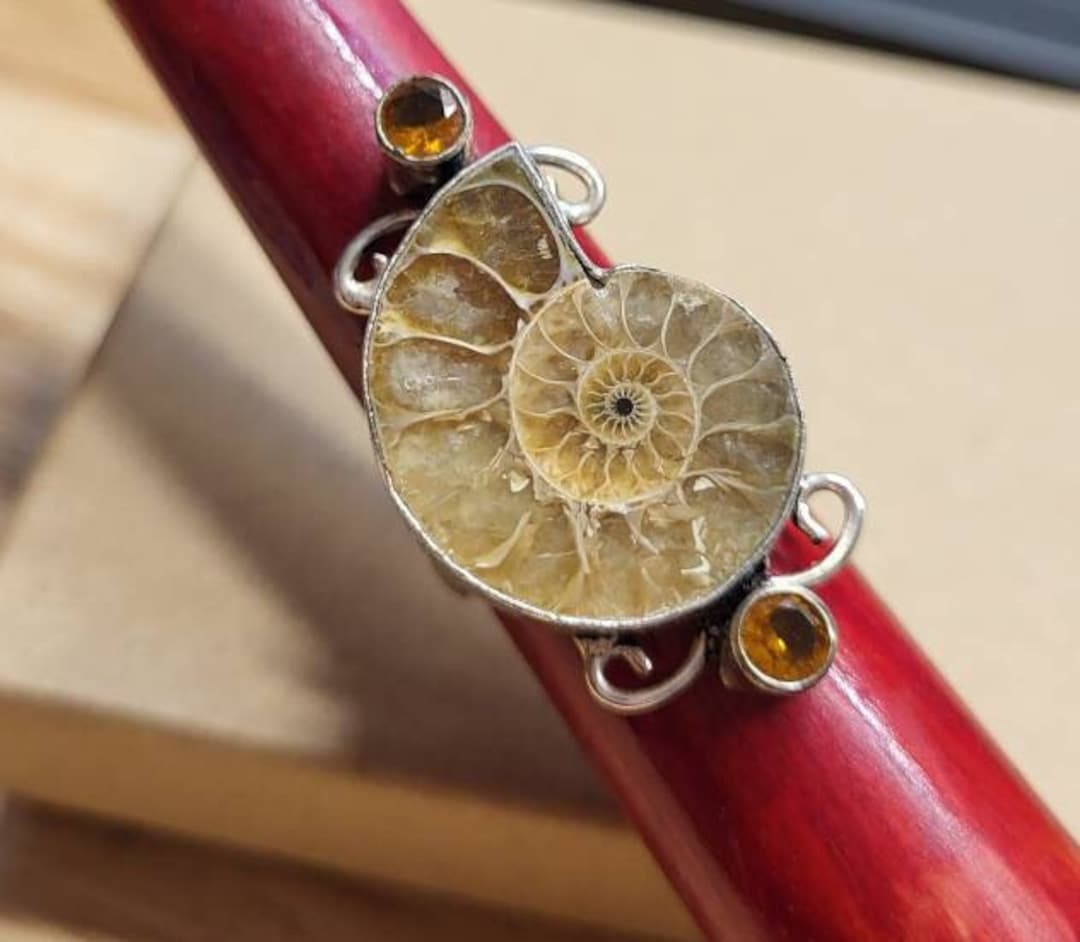 Vintage-ammonite Fossil/ Lemon Topaz Silver Ring-size - Etsy