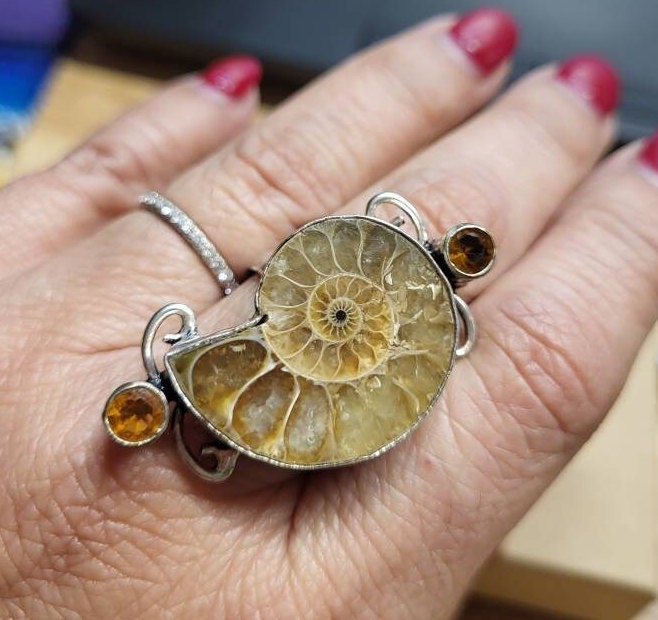 Vintage-ammonite Fossil/ Lemon Topaz Silver Ring-size - Etsy