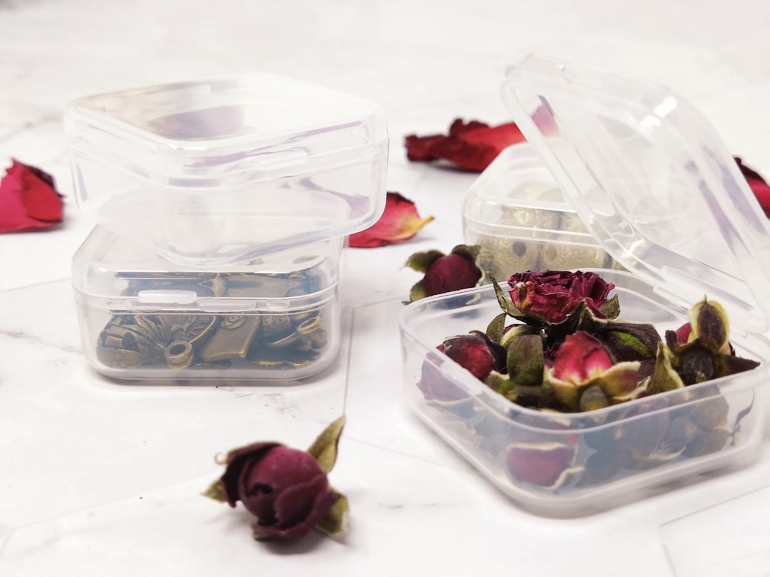 Storage Box With Lid Beads Container for Storage and Organization ...